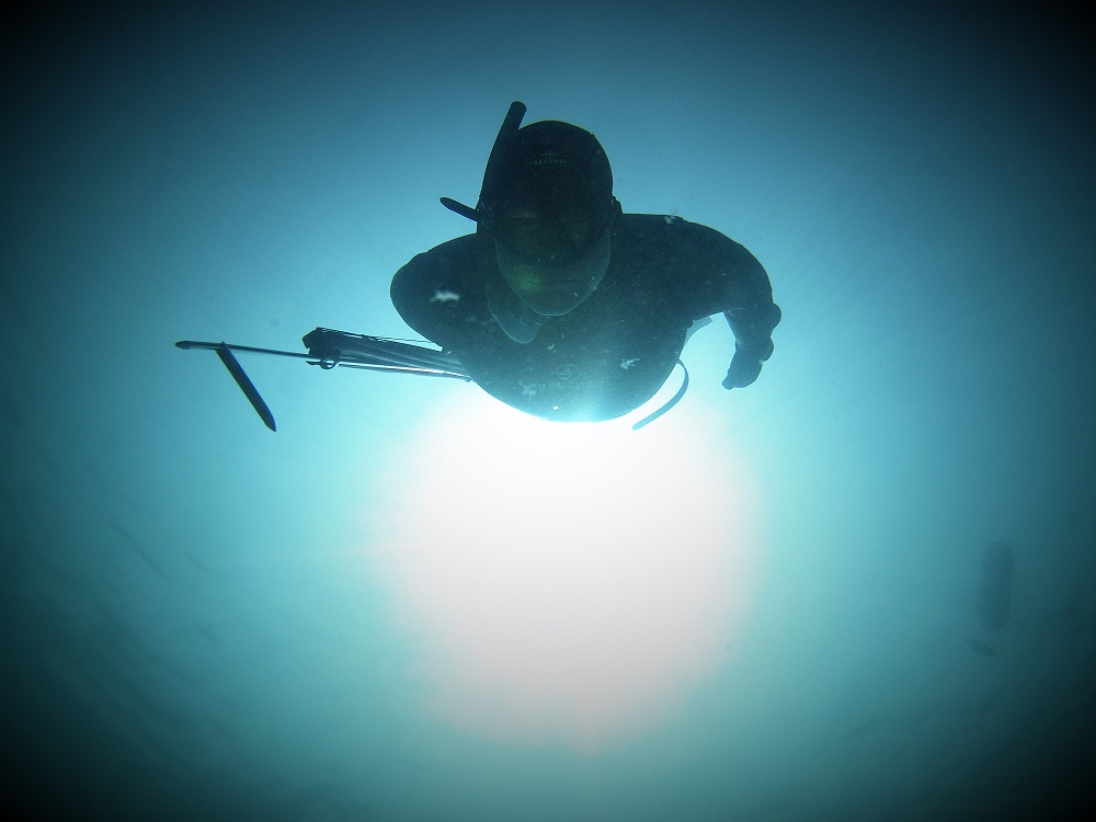 Pesca Submarina - Club de Buceo Cantabria Abisal